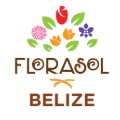 Florasol Belize – Flower Shop