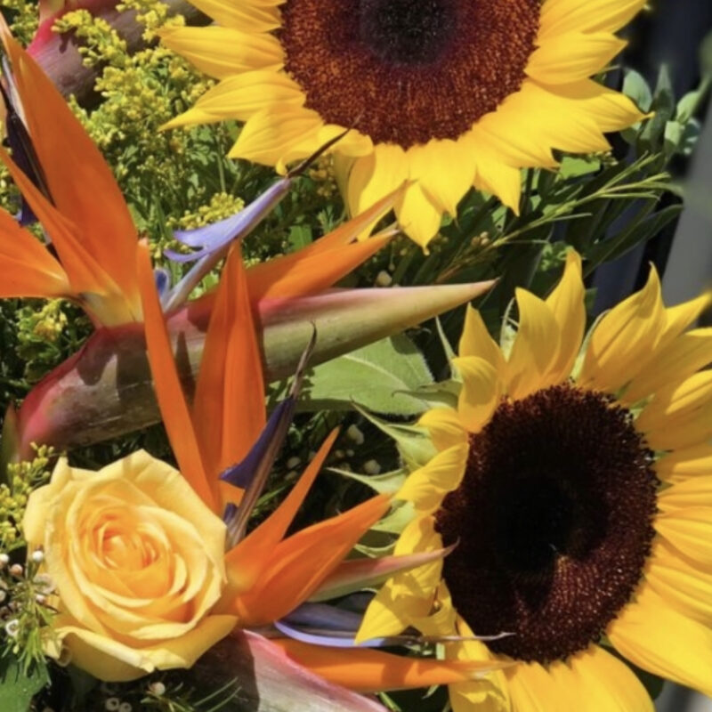 Florasol Belize – Flower Shop