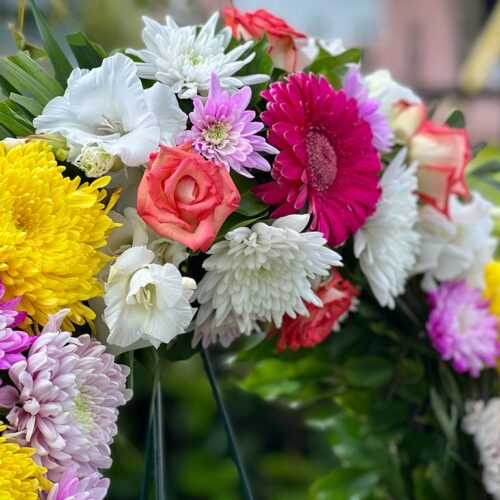 Florasol Belize – Flower Shop