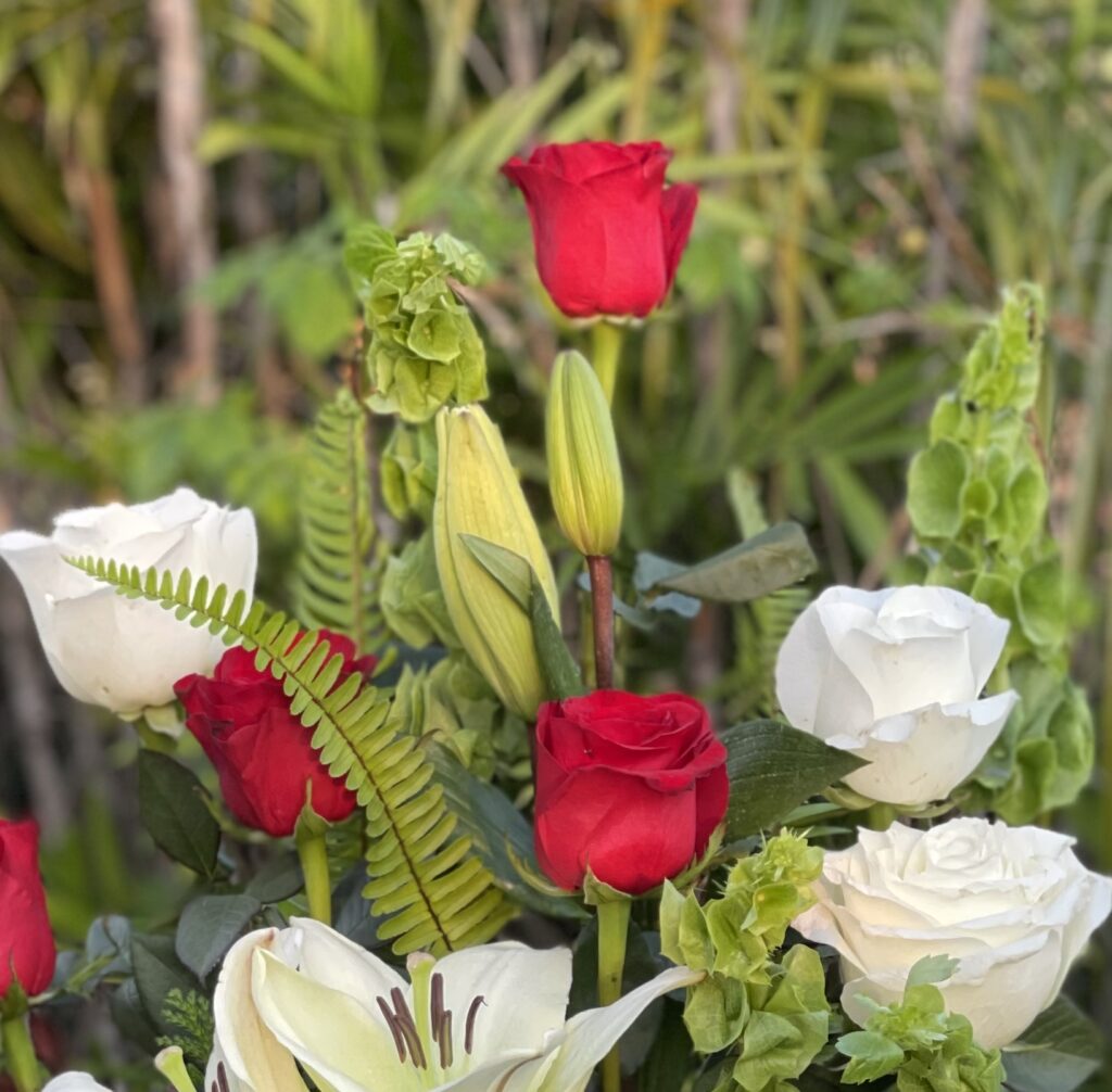 Beloved – Florasol Belize