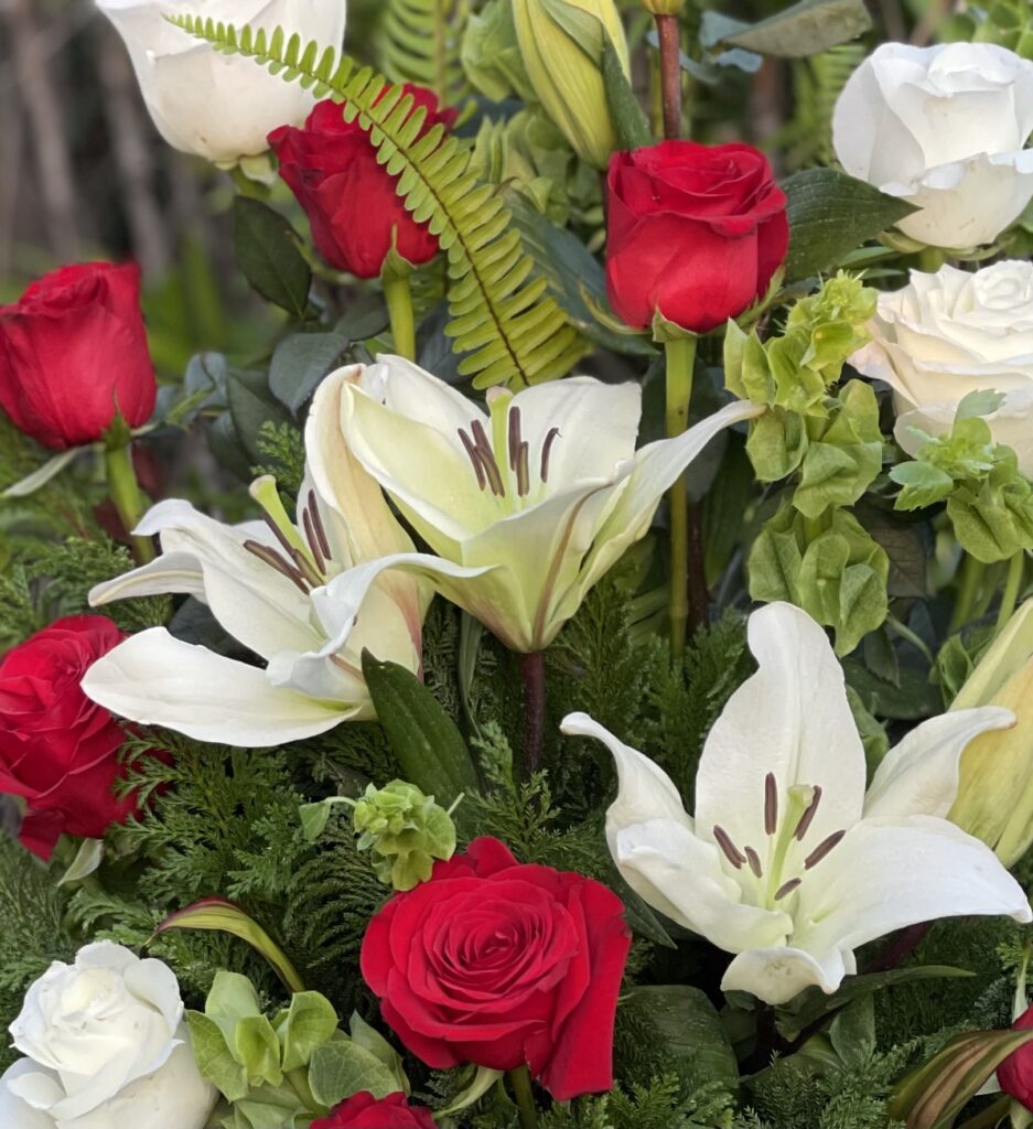 Beloved – Florasol Belize