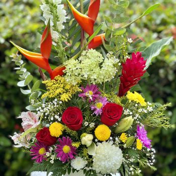 Florasol Belize – Flower Shop