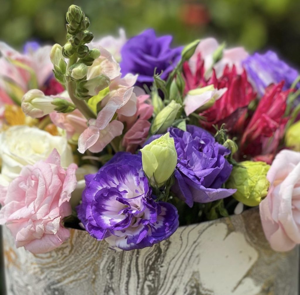 You are Special – Florasol Belize